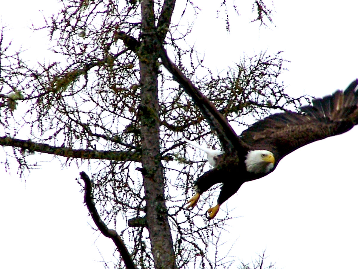 St. Croix River, New Brunswick | Canadian Heritage Rivers System